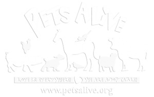 Pets Alive, Middletown NY | Pets Alive