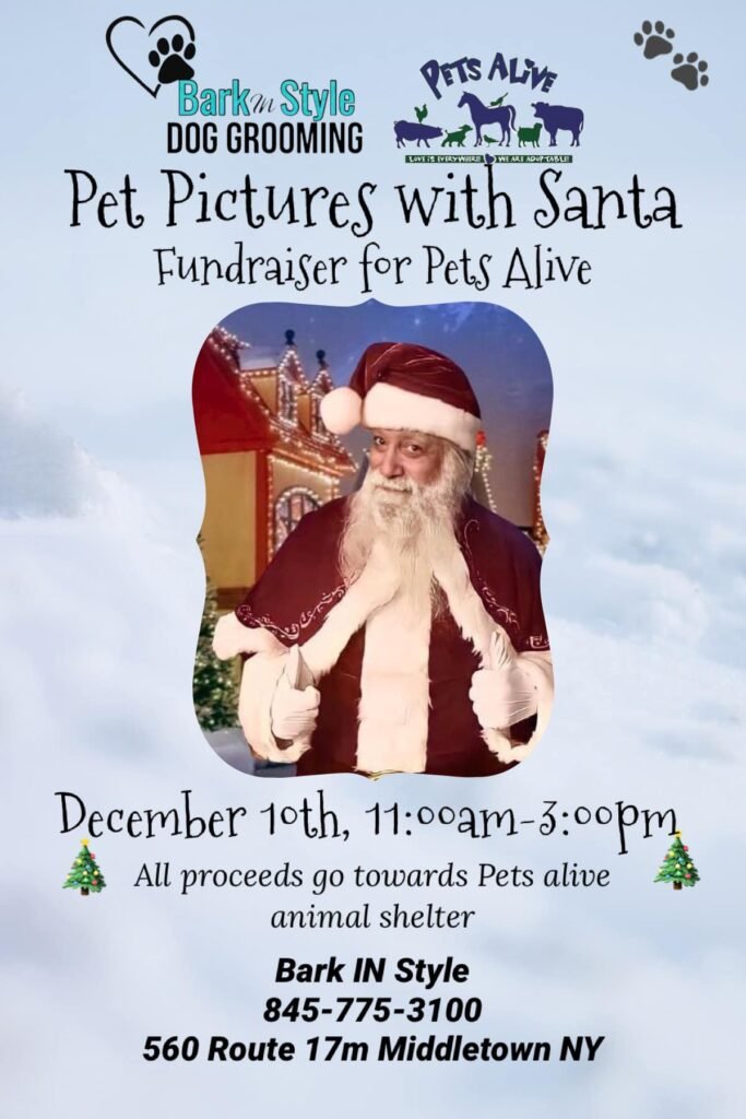 Photos with Santa at Bark IN Style Grooming | Pets Alive