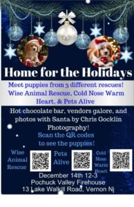 🎄 Home for the Holidays – Pet Adoption Event 🎄 | Pets Alive